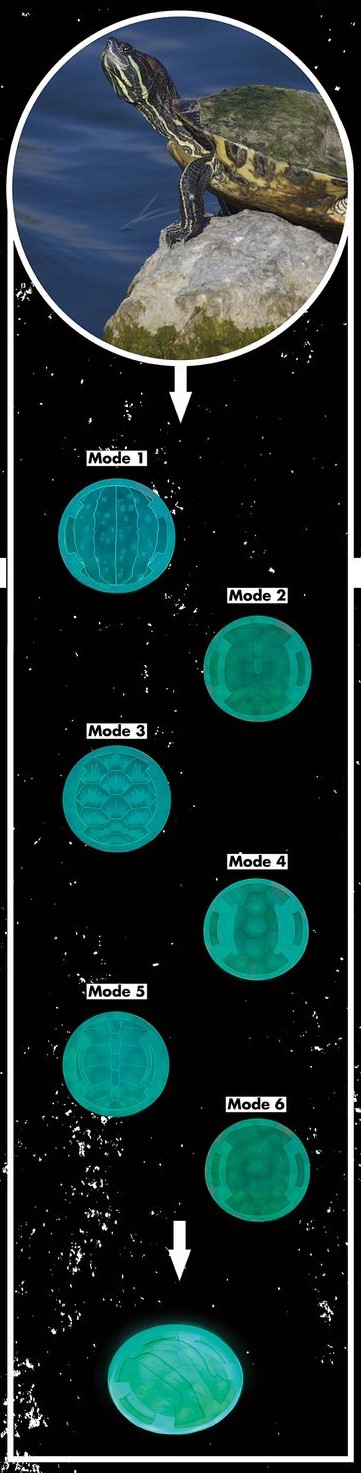 Zootopia: Revolutionizing Lunar Architecture for a Sustainable Future ...