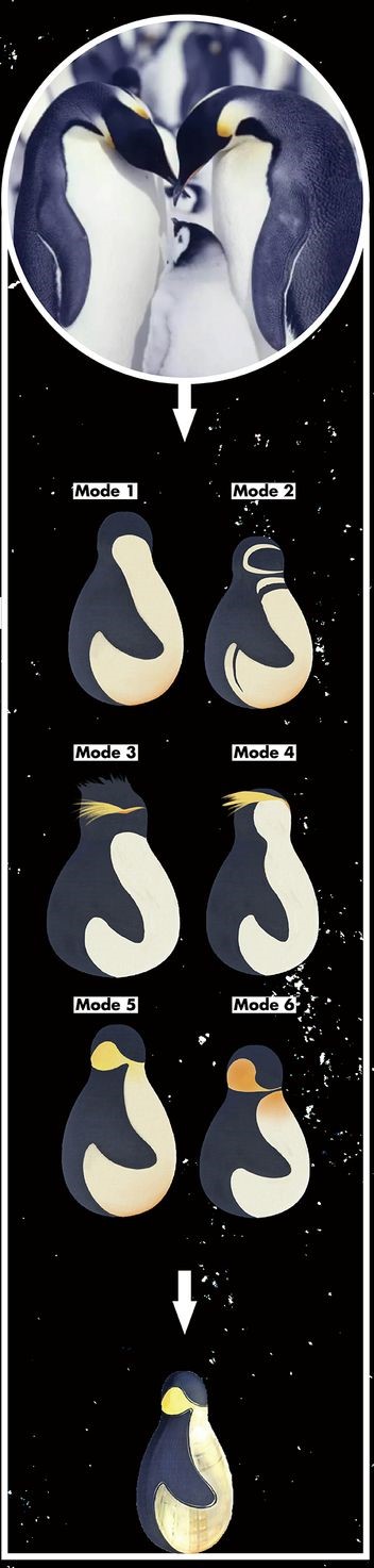 Zootopia: Revolutionizing Lunar Architecture for a Sustainable Future ...