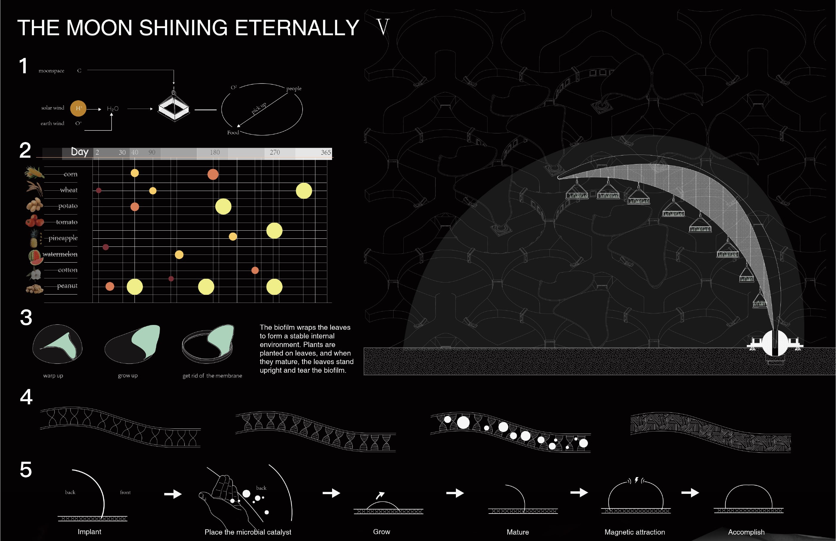 The Moon Shining Eternally: Architectural Vision for Sustainable Lunar Development | Sustainable ...