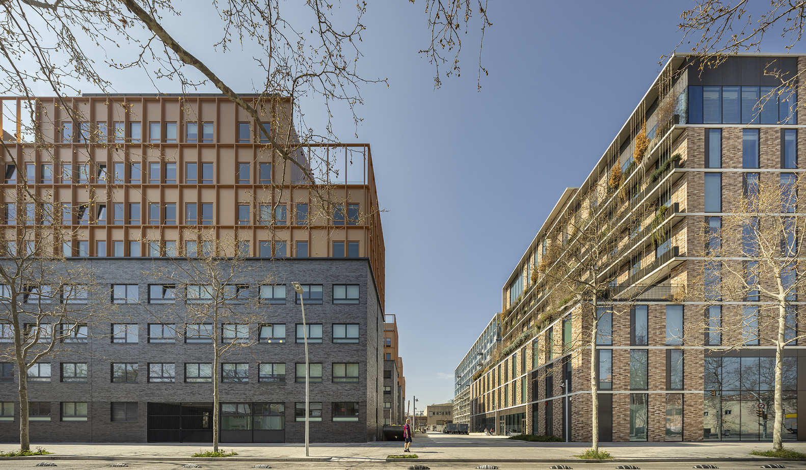 TBS School in Barcelona: A Beacon of Sustainable Educational ...