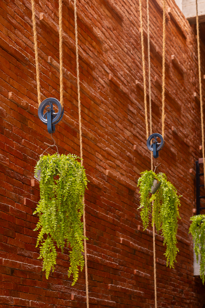 Paddy Coffee Space – Sustainable Commercial Architecture in Corrientes ...