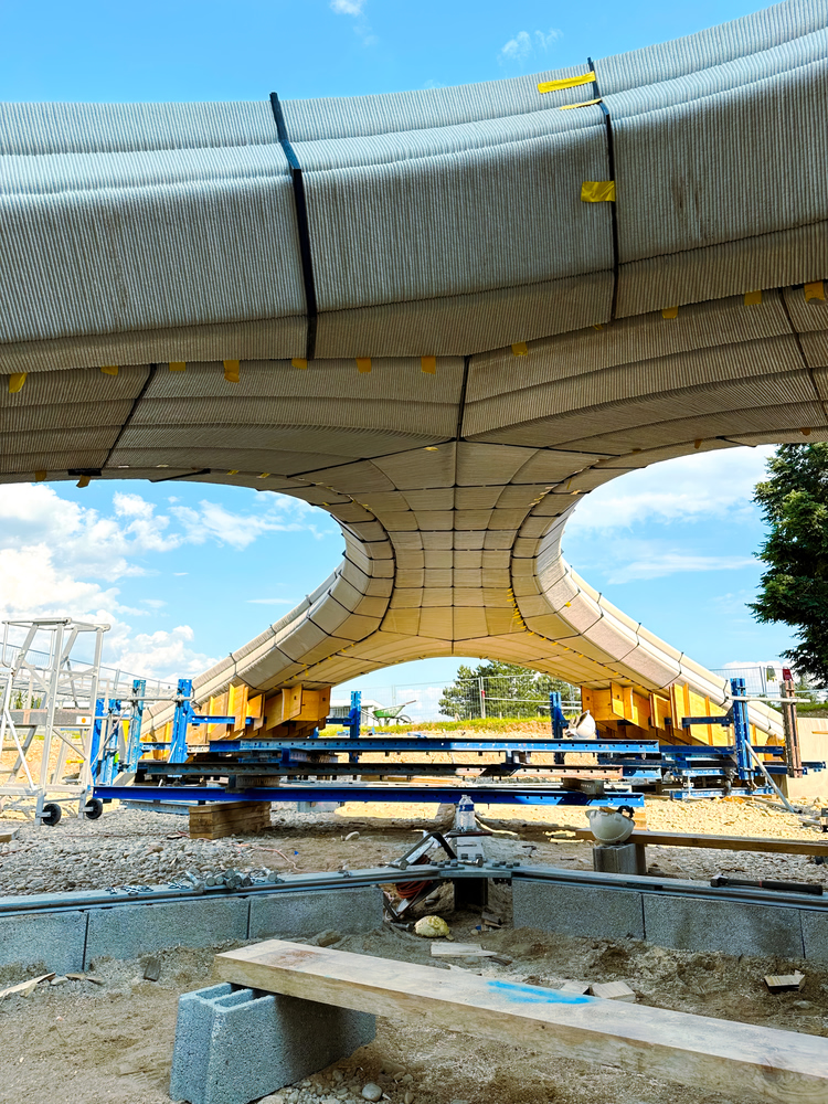 3D-Printed Bridge Phoenix by Zaha Hadid Architects: A Circular, Low ...