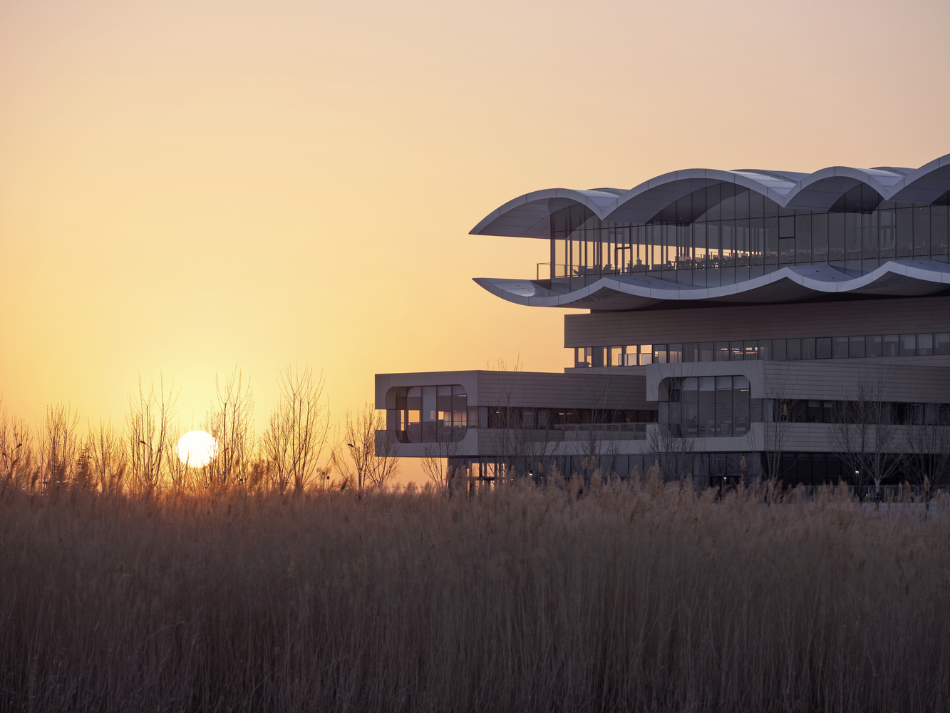 Modern Library Architecture: The Innovative Design of CAUC’s New ...