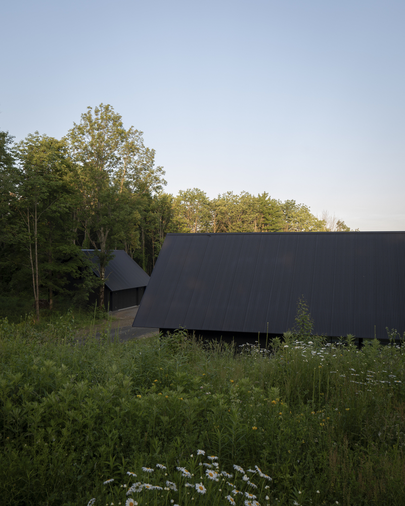 Modern Meadow House Architecture: A Perfect Blend of Seclusion and ...