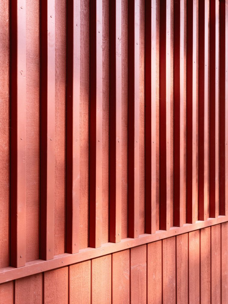 Contemporary Forest House Design: Exploring M3R House by NatureHumaine ...