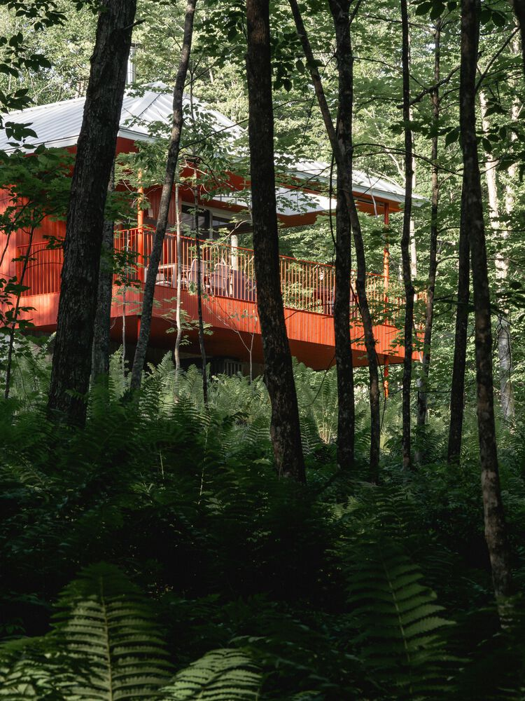 Contemporary Forest House Design: Exploring M3R House by NatureHumaine ...