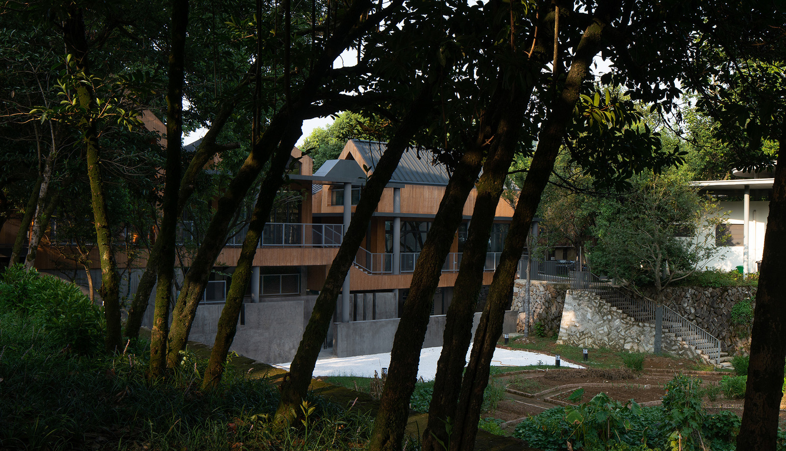 The Future of Sustainable Community Center Architecture: Xikou Future ...