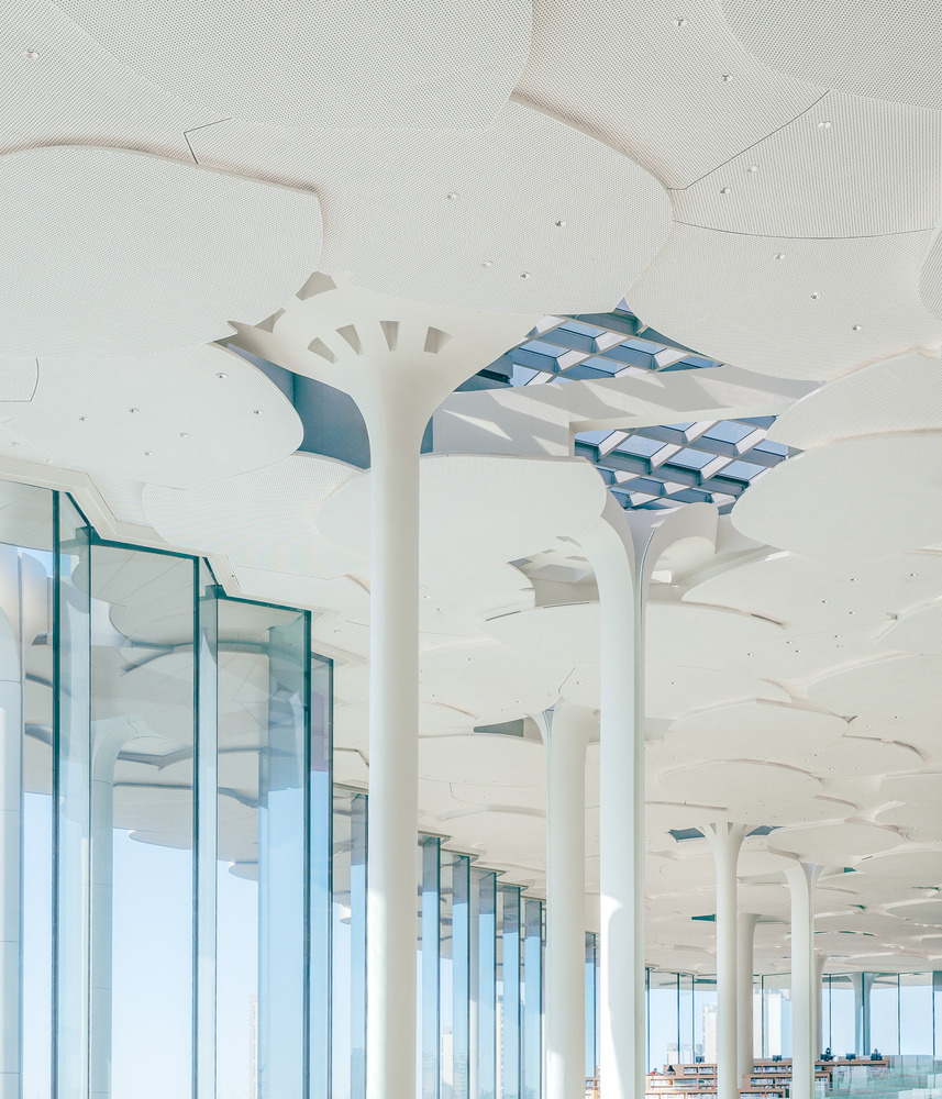 Sustainable Library Architecture: Inside the Beijing Sub-Center Library ...