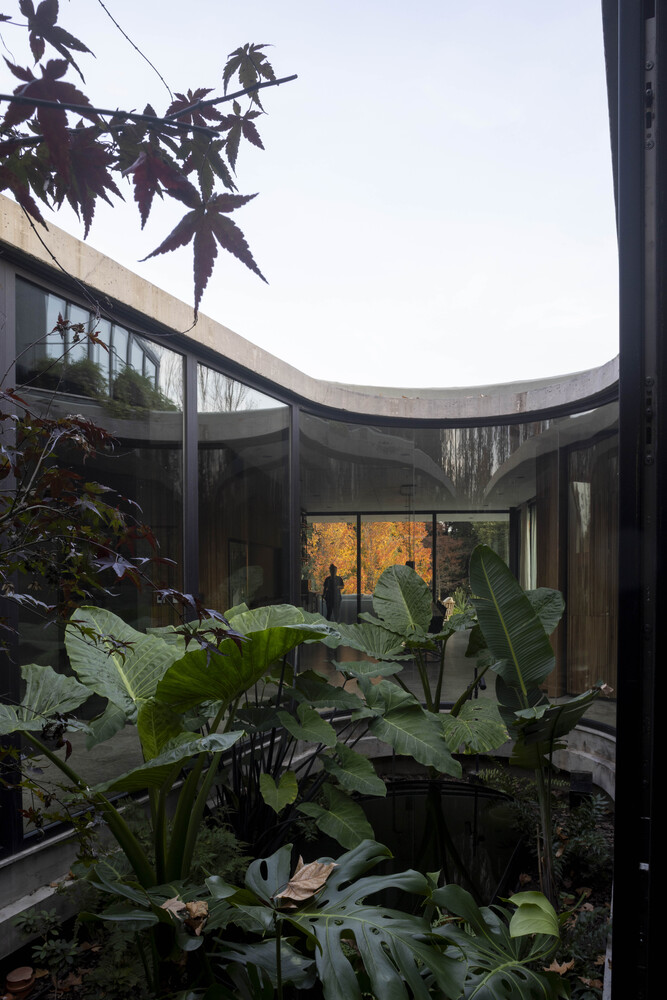 Introduction to the X House Design Concept | Housing Story