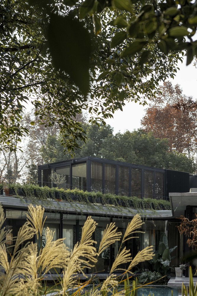 Introduction to the X House Design Concept | Housing Story