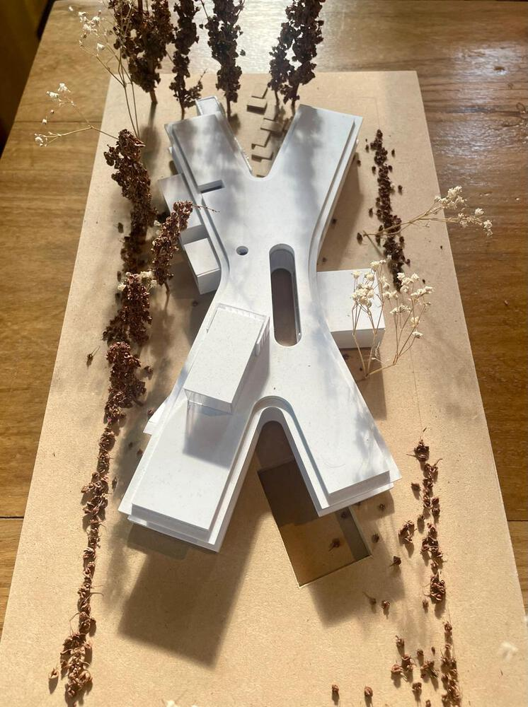 Introduction to the X House Design Concept | Housing Story