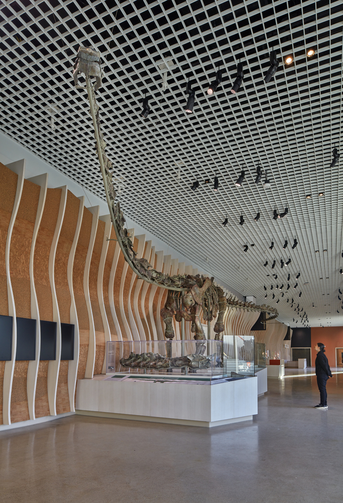 NHM Commons Sustainable Museum Design: A Community-Focused ...