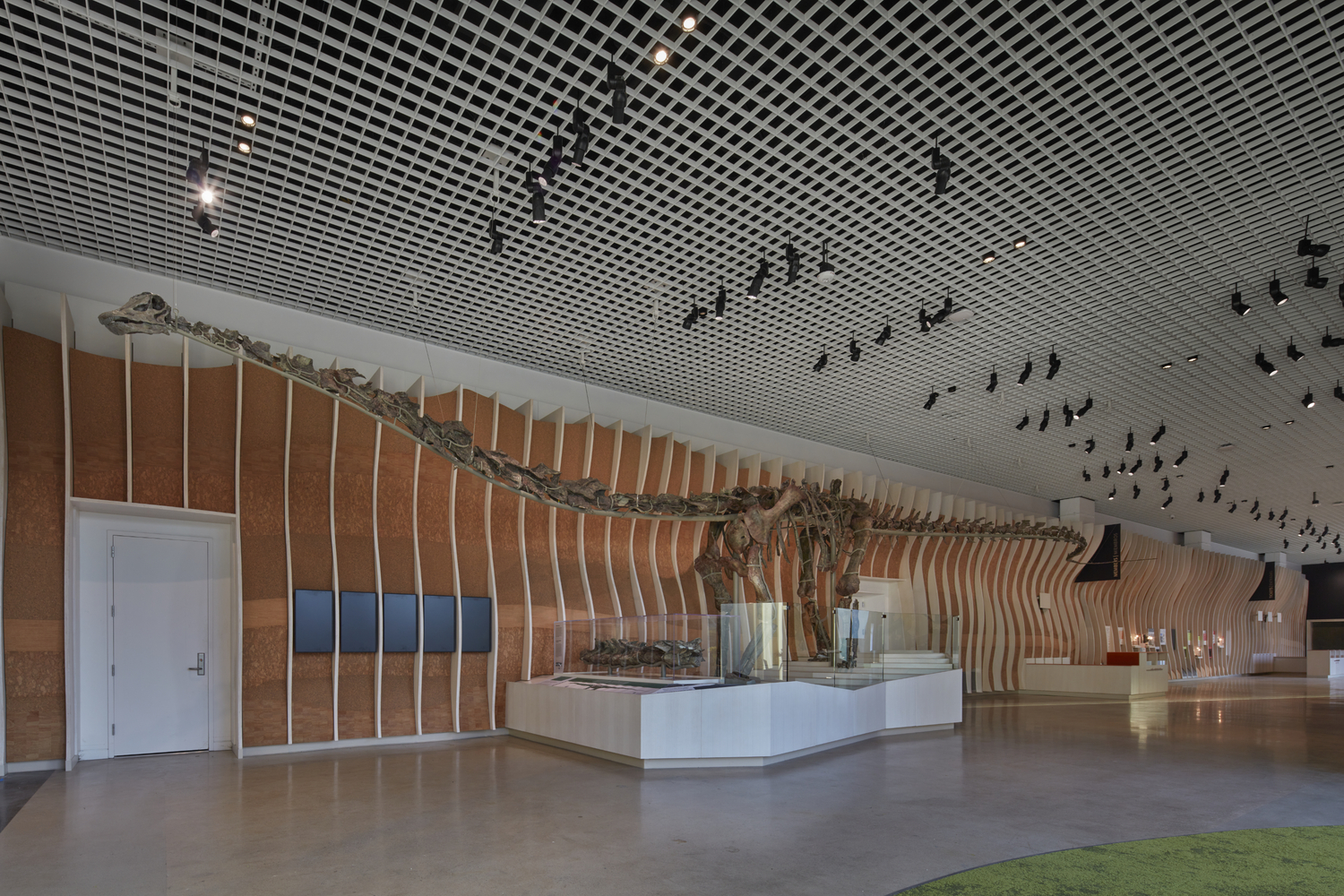 NHM Commons Sustainable Museum Design: A Community-Focused ...