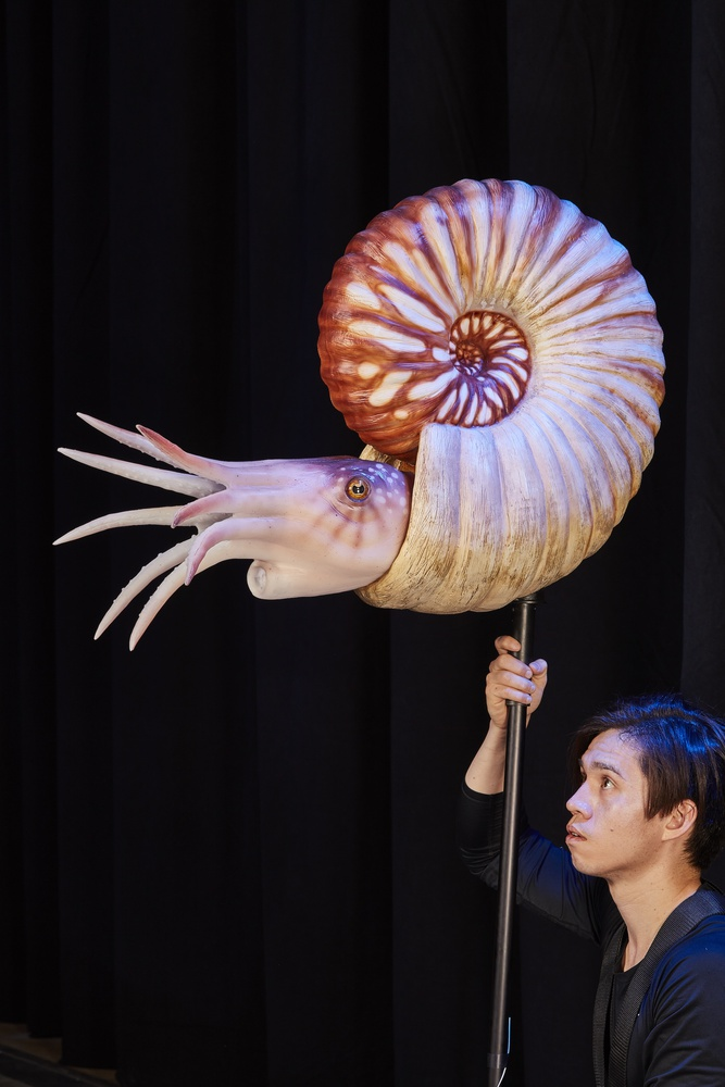 NHM Commons Sustainable Museum Design: A Community-Focused ...