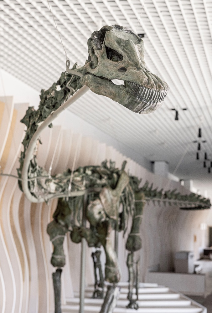 NHM Commons Sustainable Museum Design: A Community-Focused ...