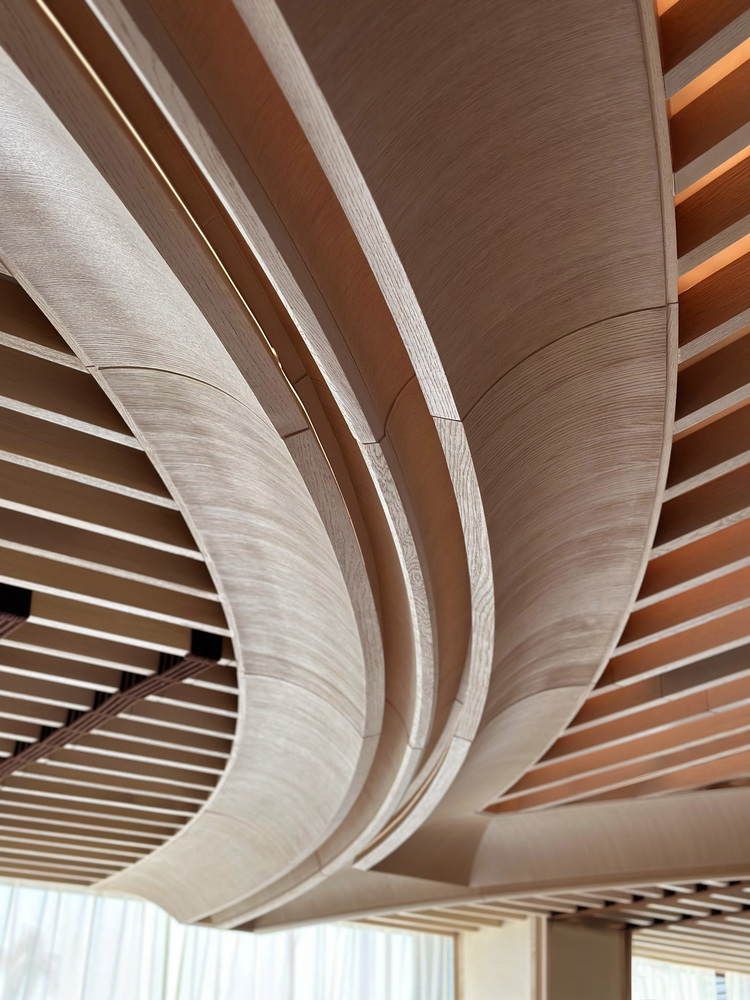 Surf Architecture in Abu Dhabi: A Masterclass by Elastic Architects ...