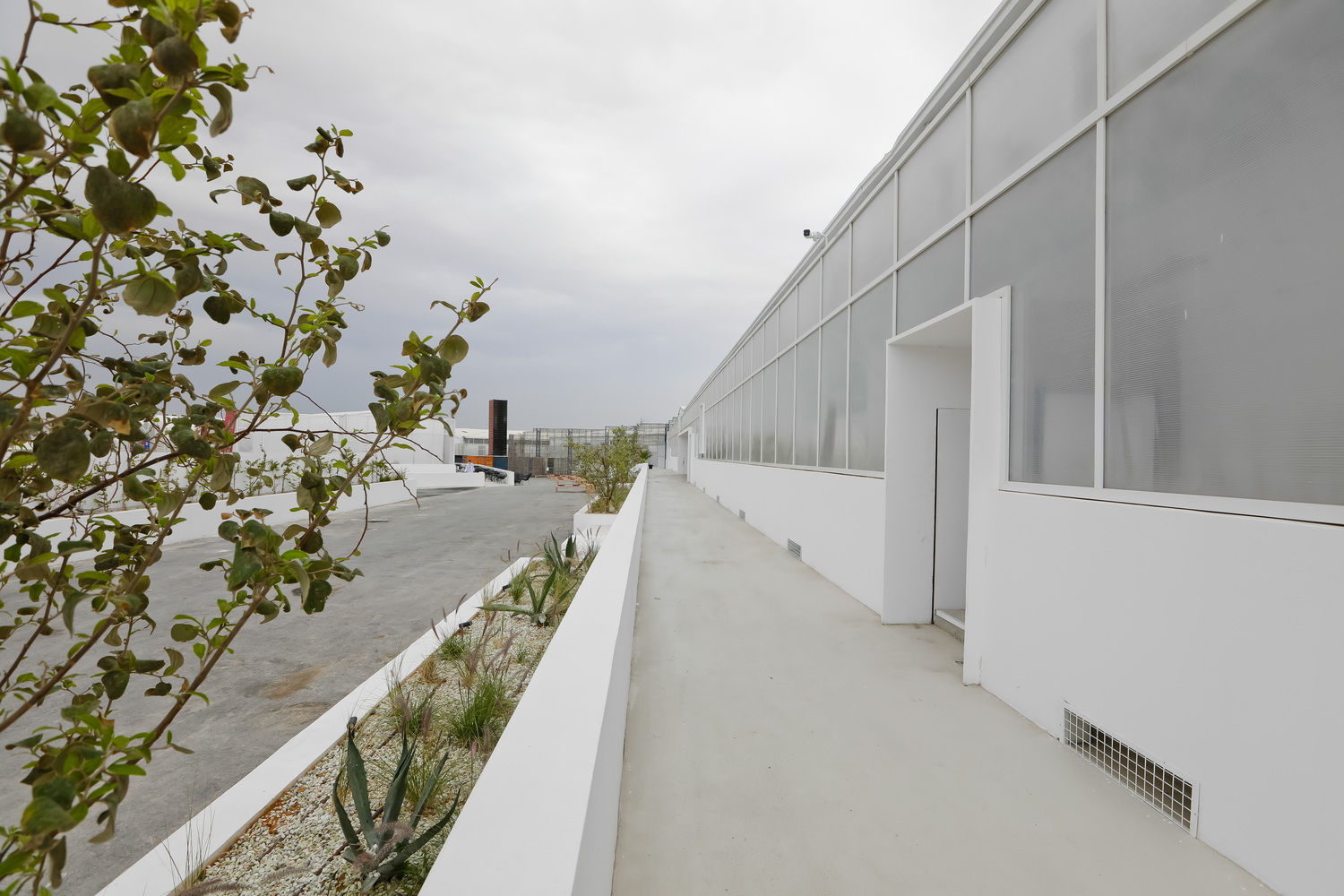 Diriyah Biennale Foundation: A Landmark of Adaptive Reuse Architecture ...