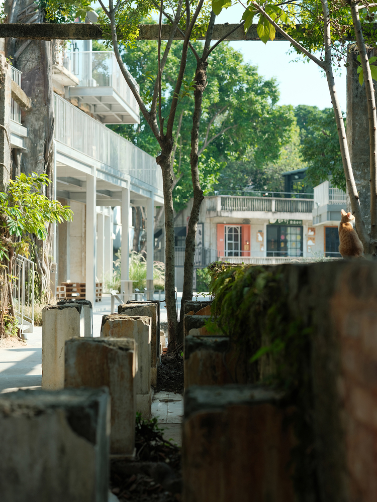 Adaptive Reuse Architecture Design: Wildness Promenade by BDSD ...