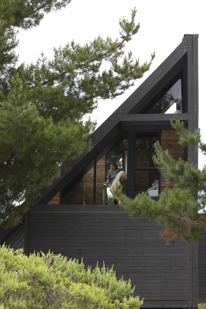 Modern Wooden Cabin Design: Shelter 45 by Gonzalo Rufin Arquitectos and ...