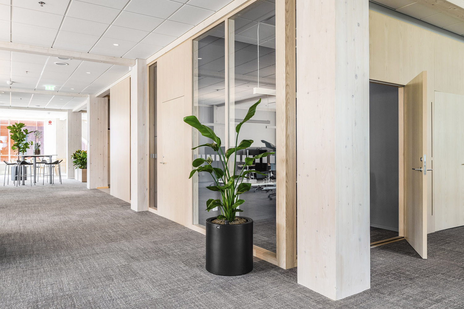 Timber High-Rise Architecture: Fyrtornet by Wingårdhs Redefines Malmö’s ...