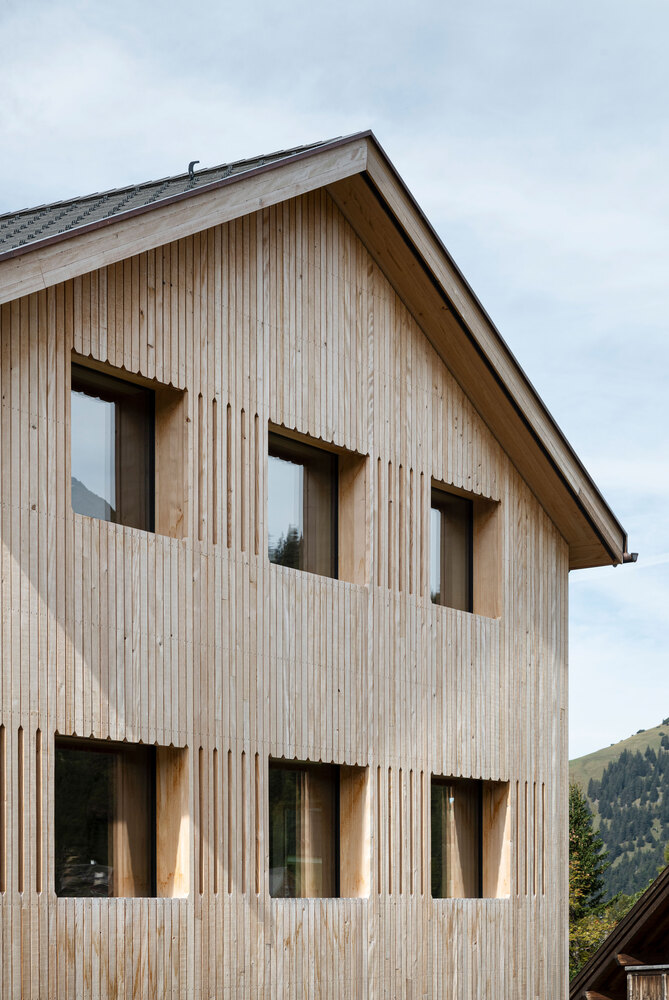 Modern Alpine Houses in Liechtenstein: Blending Tradition with ...