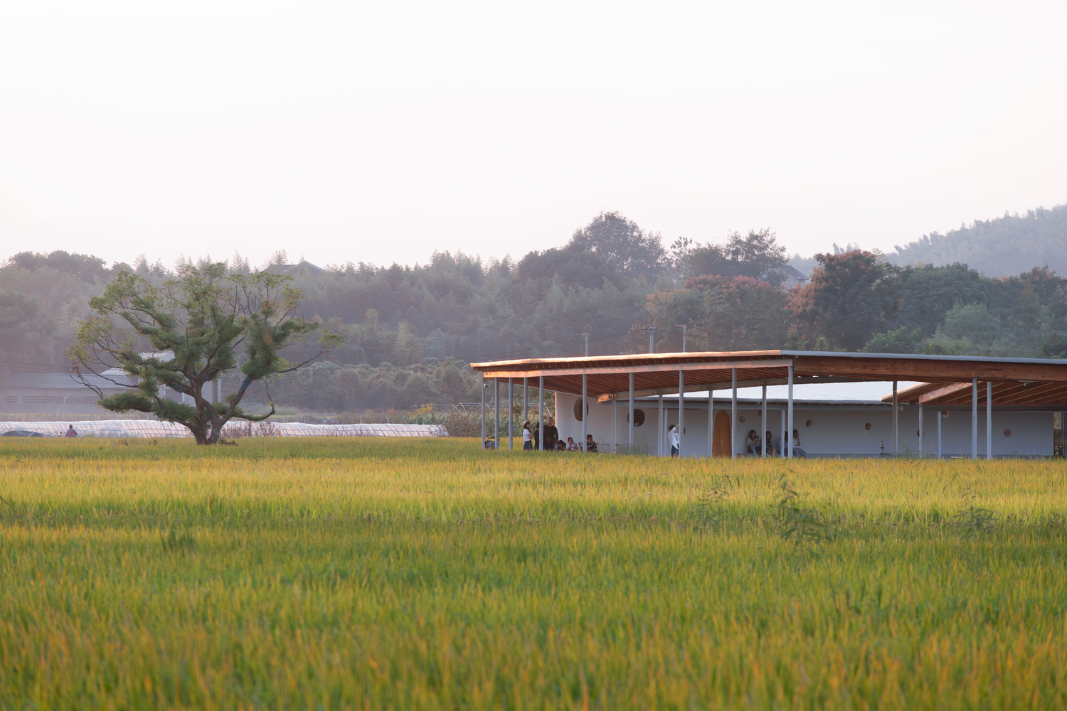Sustainable Agritecture Design: The Agronomy Workshop by Studio Dali ...