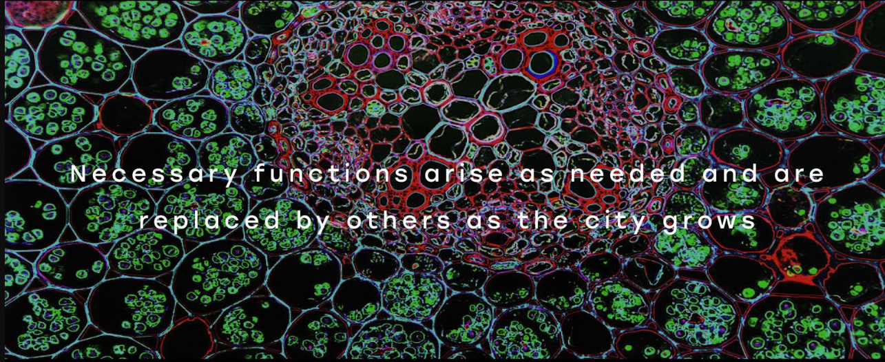 Sustainable Arctic Architecture: A Vision for the Future | Conceptual ...