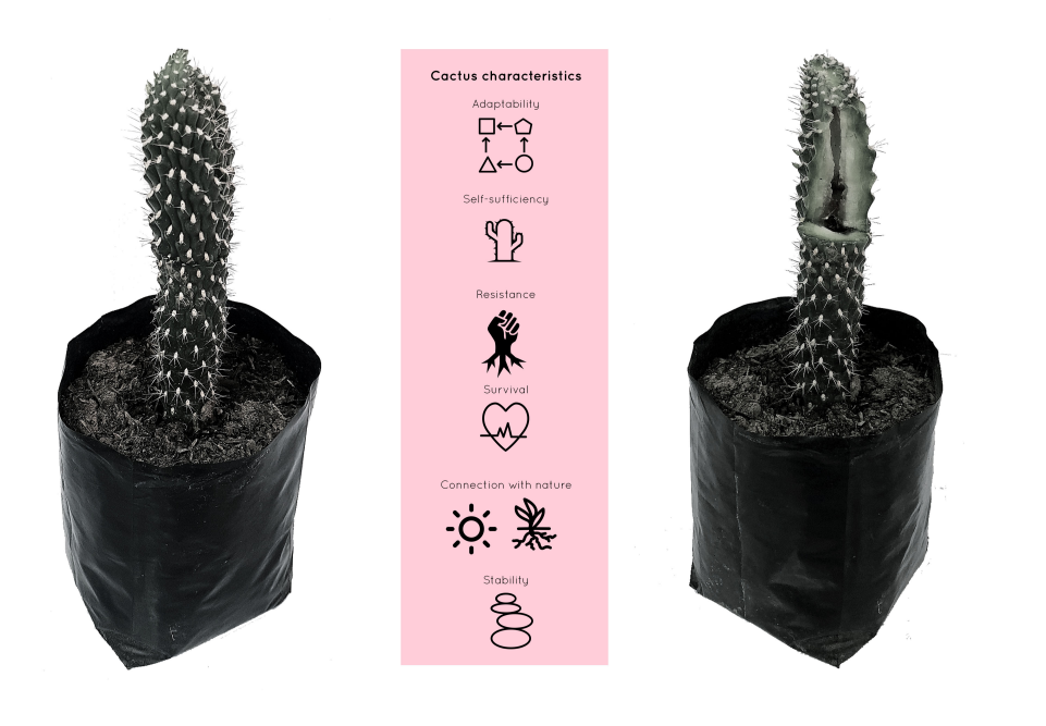 Cactus Adaptability: Modular Architecture for Sustainable Urban Living ...