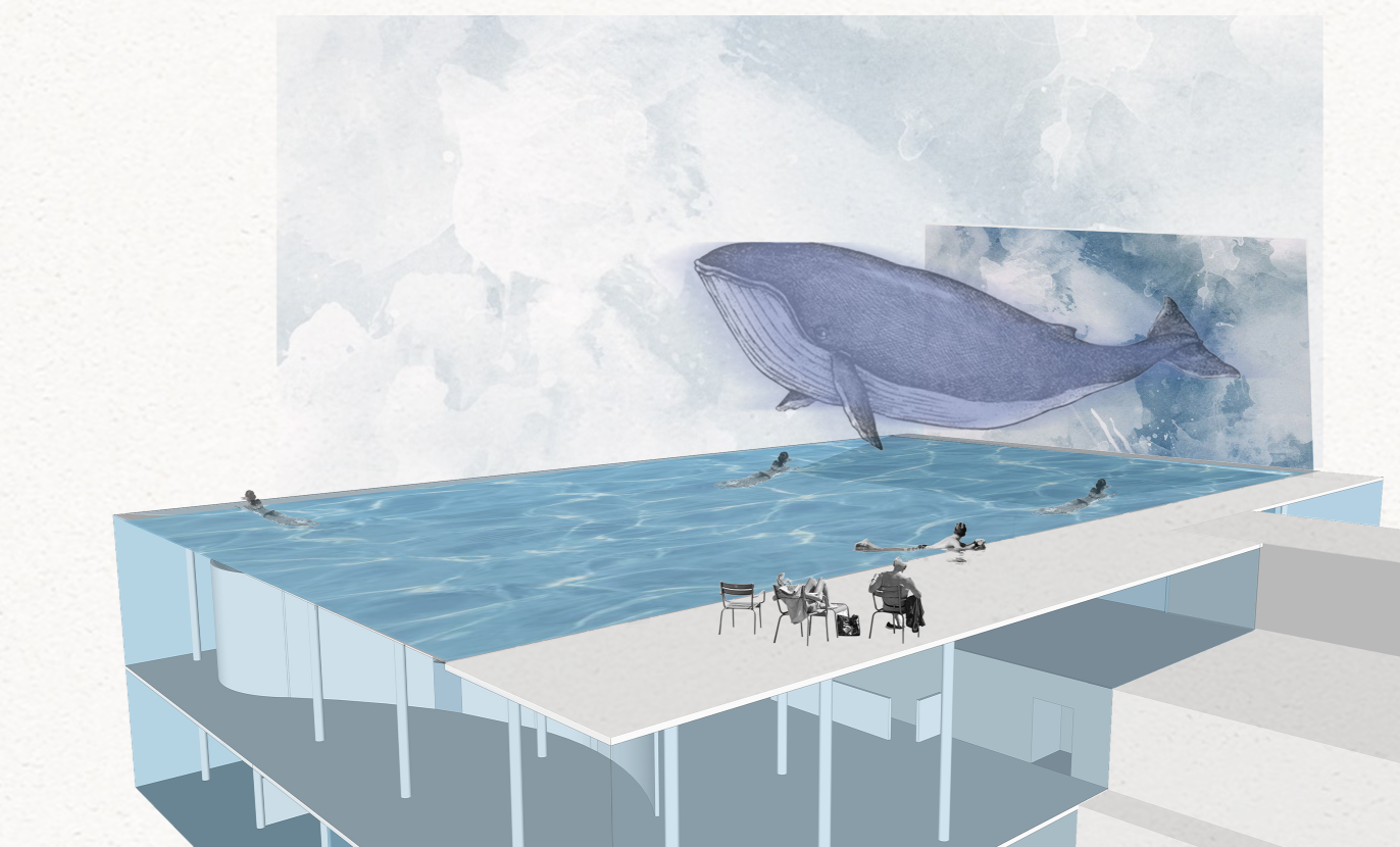 Innovative Architectural Design in Education: Merging Virtual and ...