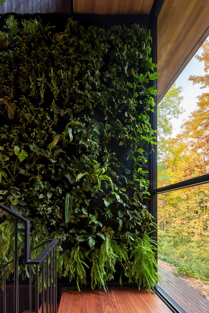 Ravine House: A Sustainable Design Harmonizing with Nature ...