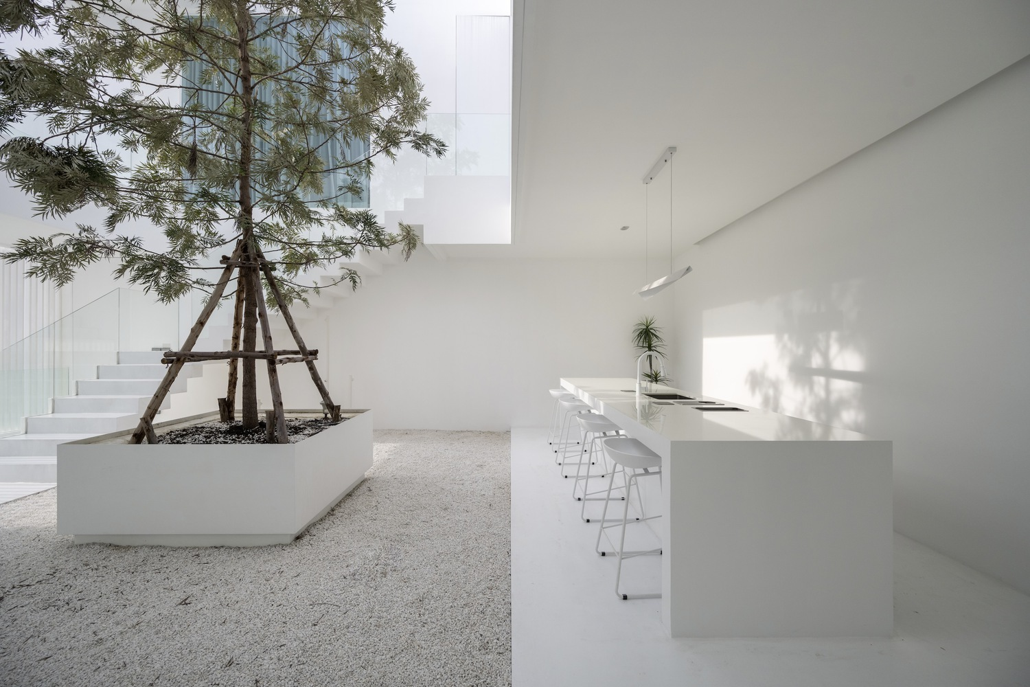Canvas House by Unknown Surface Studio: A Harmonious Blend of Privacy ...