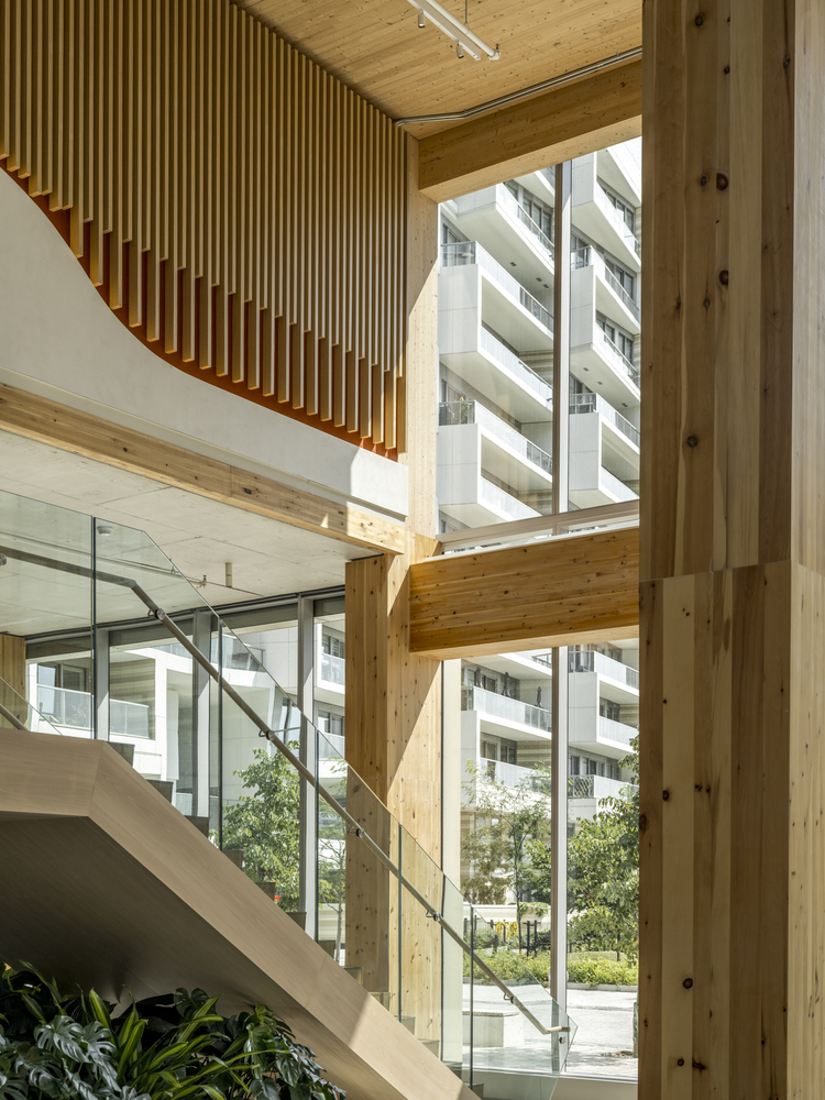 T3 Bayside by 3XN: North America’s Tallest Timber Office Building Leading Sustainable Urban ...