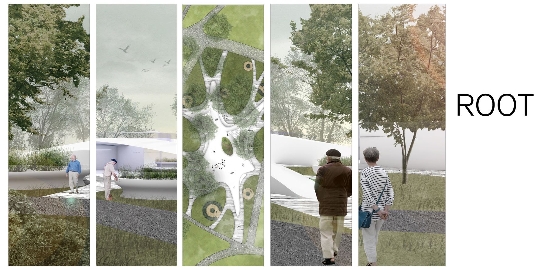 ROOT – A Landscape Architecture Approach to Intergenerational ...
