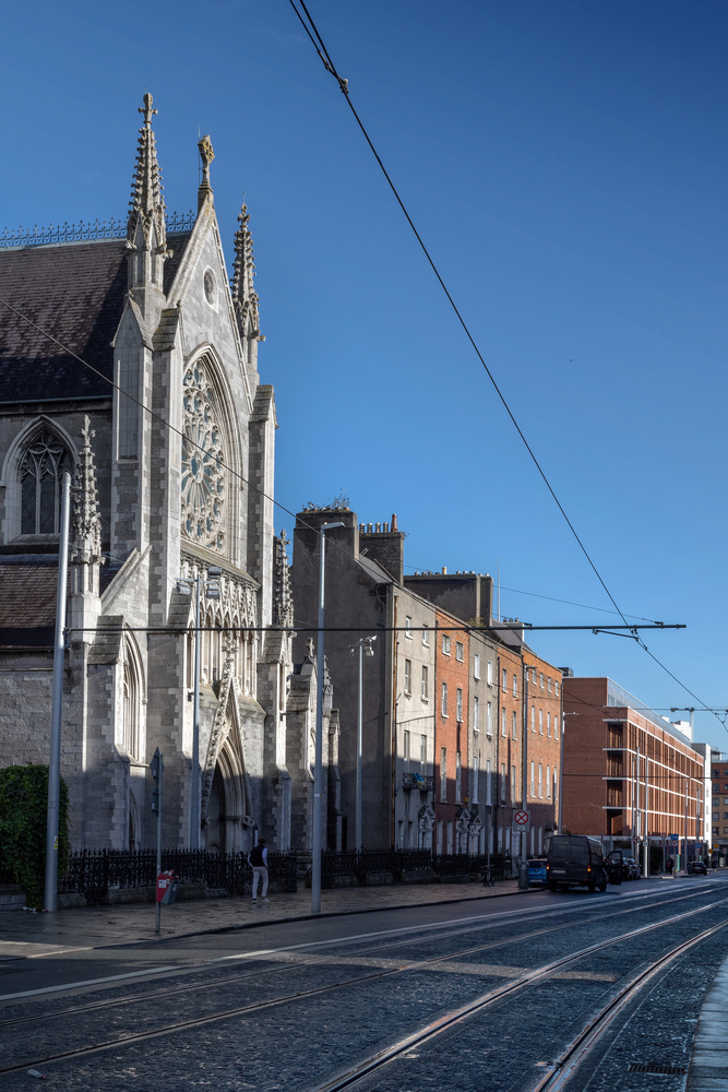 Dominick Hall Housing / Carr Cotter & Naessens + Denis Byrne Architects ...