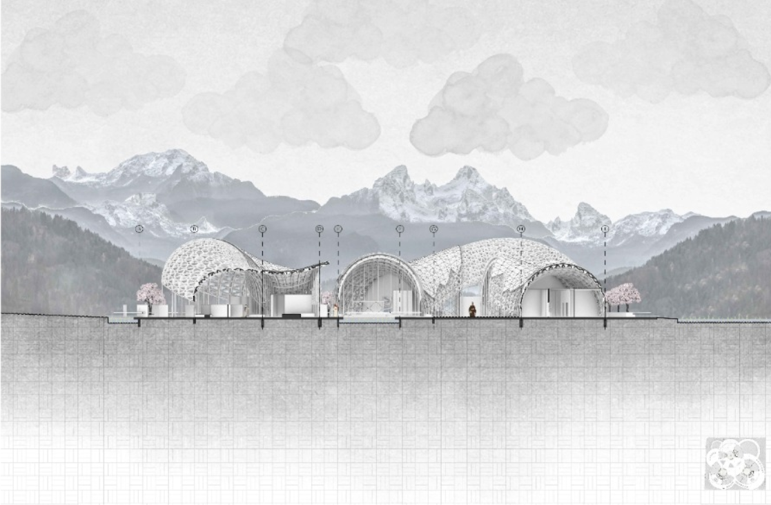 Tectonic Bloom: A Cultural Architecture Inspired by Sakura and ...