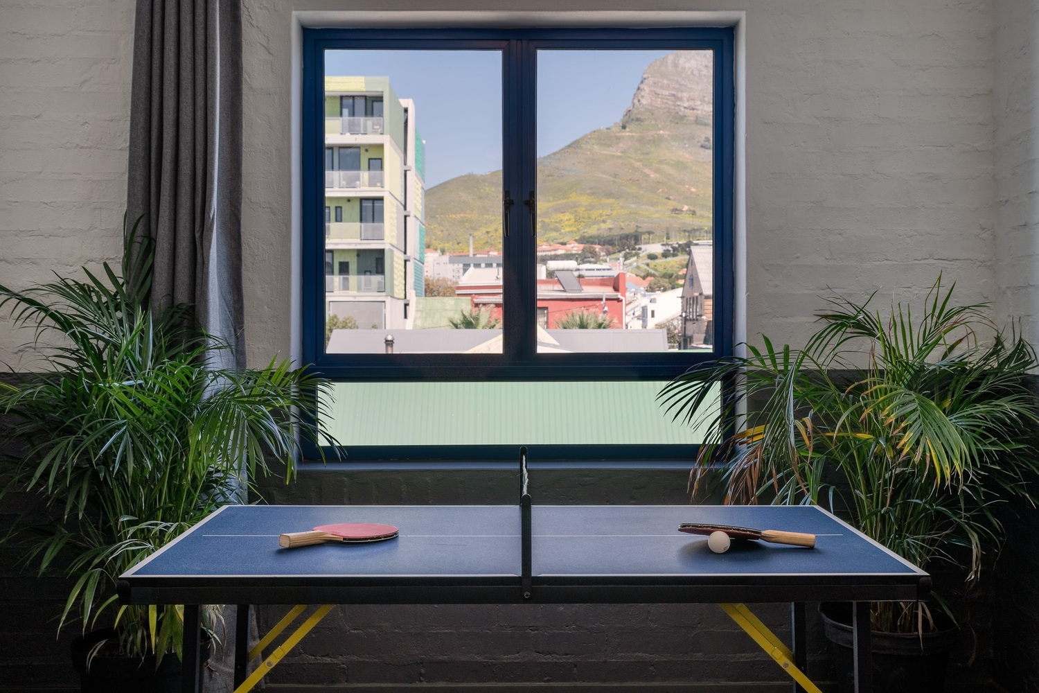 9 on Nares by Two Five Five Architects: A Vision of Budget-Conscious ...