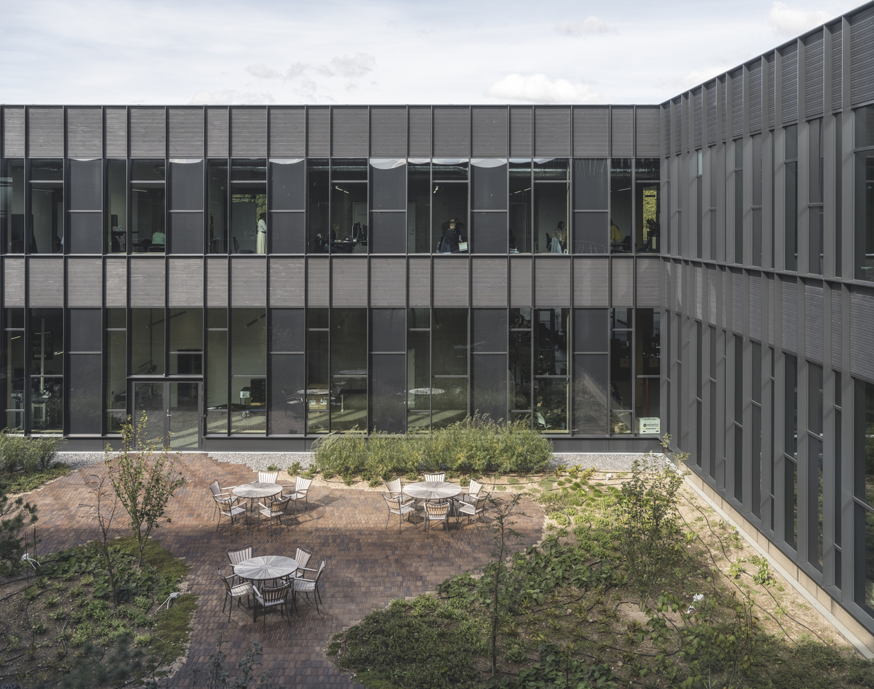 Cobot Hub by 3XN: A Landmark Modular Timber Office Building in Denmark ...