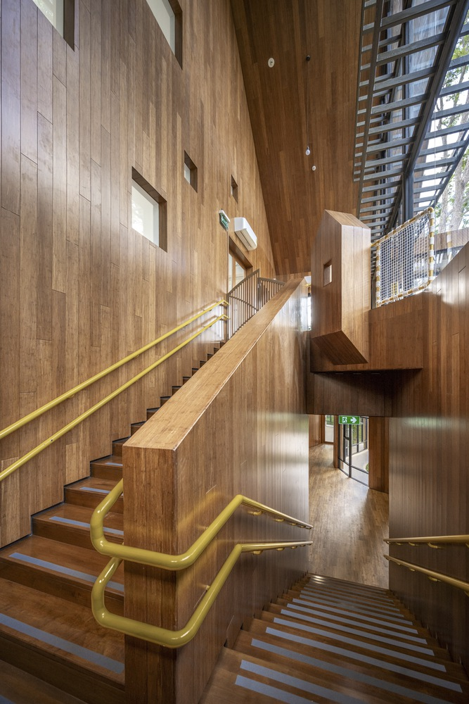 Lovell International School by Plan Architect: A Treehouse-Inspired ...