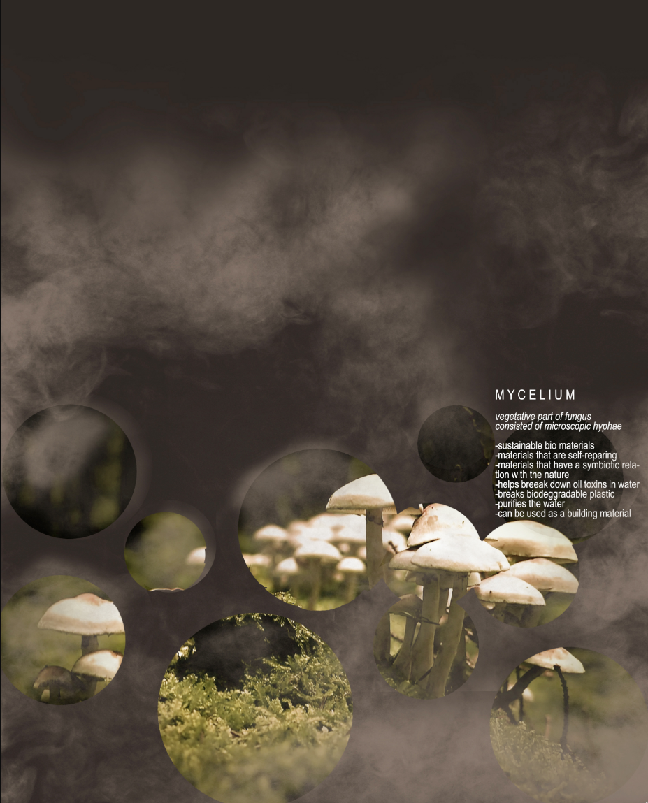Mycelium Path – A Bio-Architecture Vision for Wetland Sustainability ...