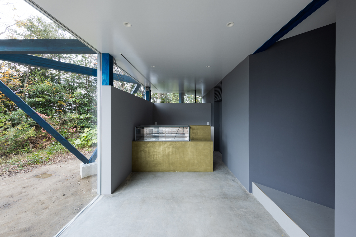 45° by Studio Takuya Hosokai: A Forest-Integrated Café That Redefines Spatial Boundaries ...