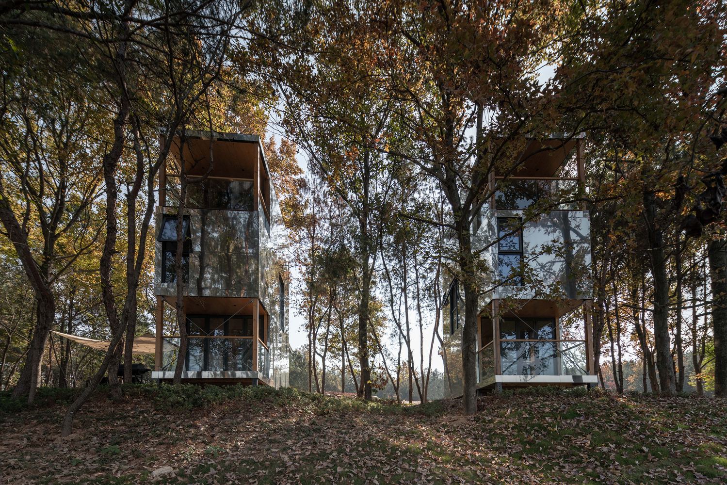 The Giraffe Cabin: A Masterpiece of Prefabricated Wood Cabins by Wiki ...