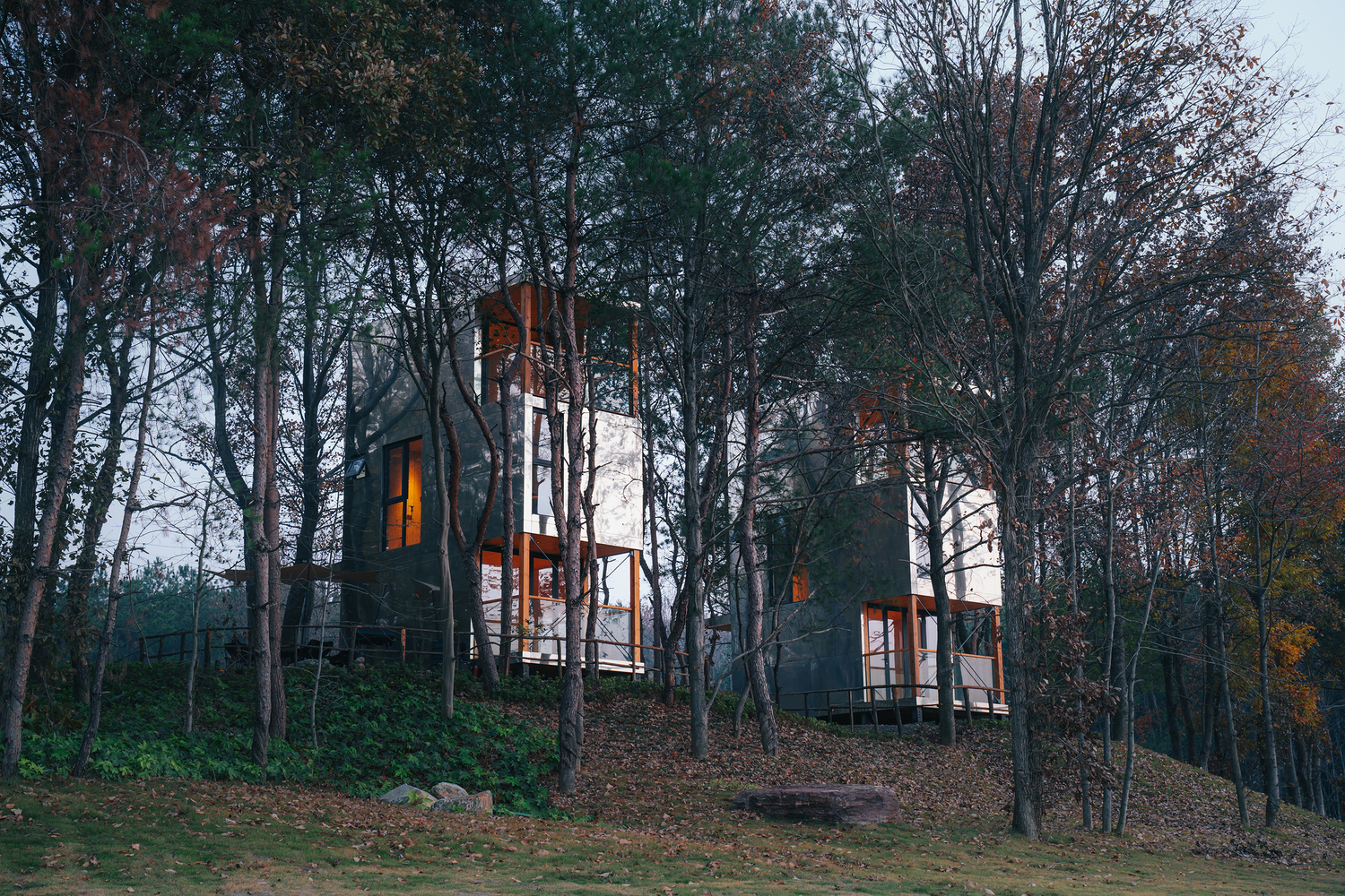 The Giraffe Cabin: A Masterpiece of Prefabricated Wood Cabins by Wiki ...