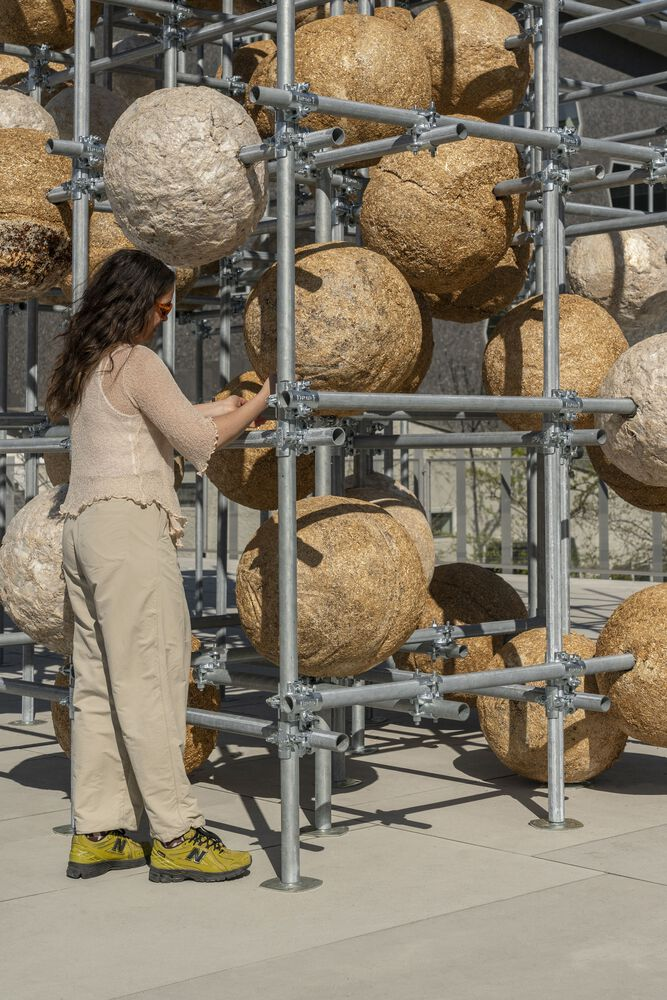 Growing Matter(s) Pavilion by Henning Larsen: Pioneering Mycelium ...