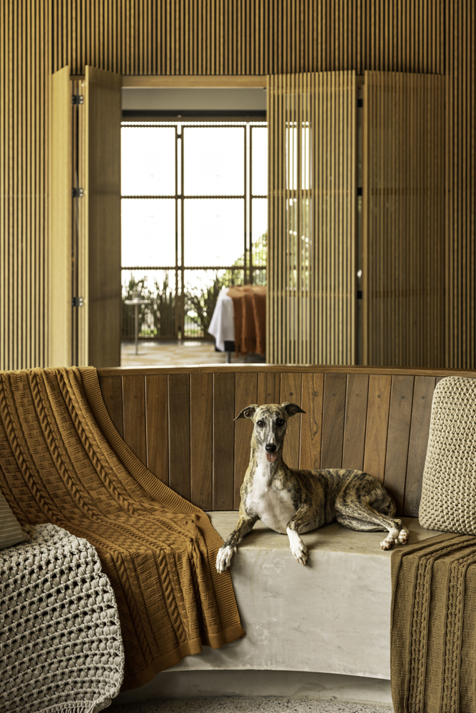 Galgo House by Tati Tavares + Alex Dalcin: A Model of Minimalist House ...