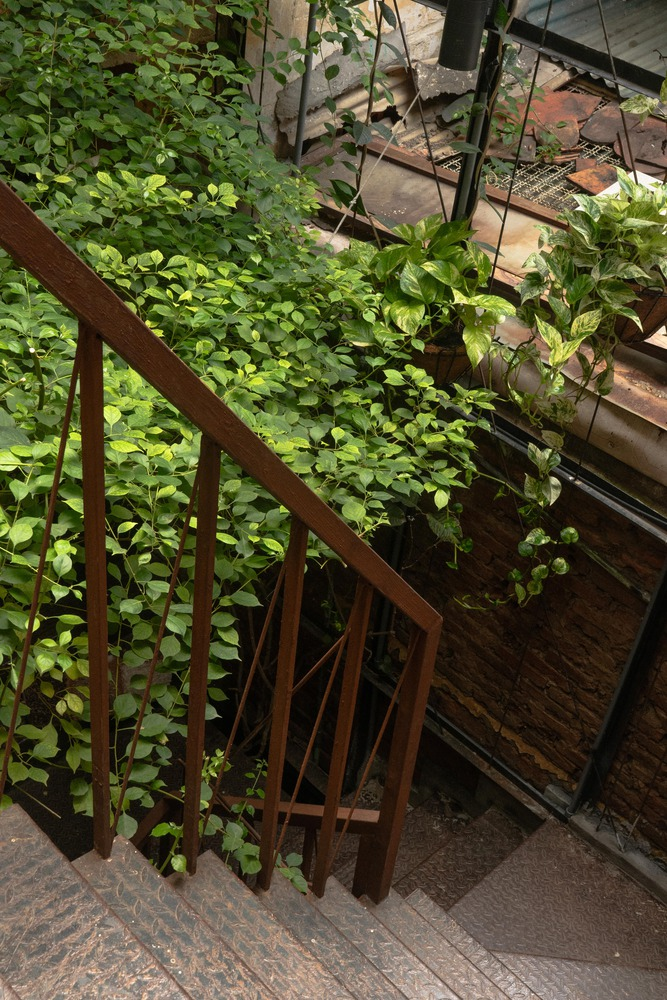 O Plant-based Ton That Dam: A Model of Adaptive Reuse Restaurant Design ...