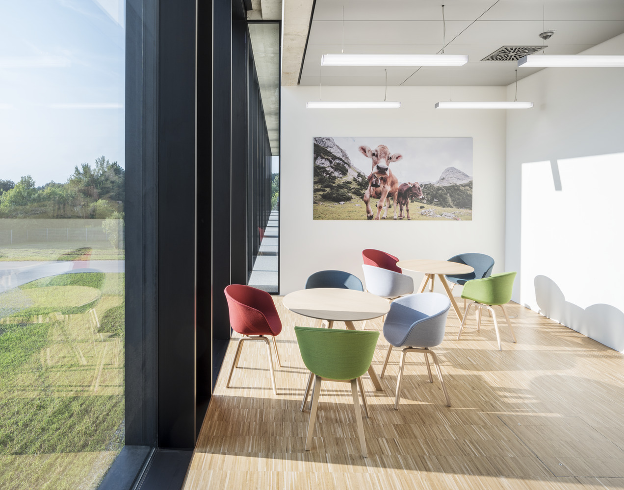 HAWE Office Building / Barkow Leibinger | Office Building Story