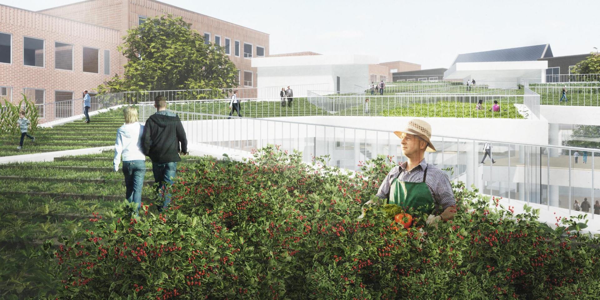Reinventing the food market: Stunning ideas to bring farming into the ...