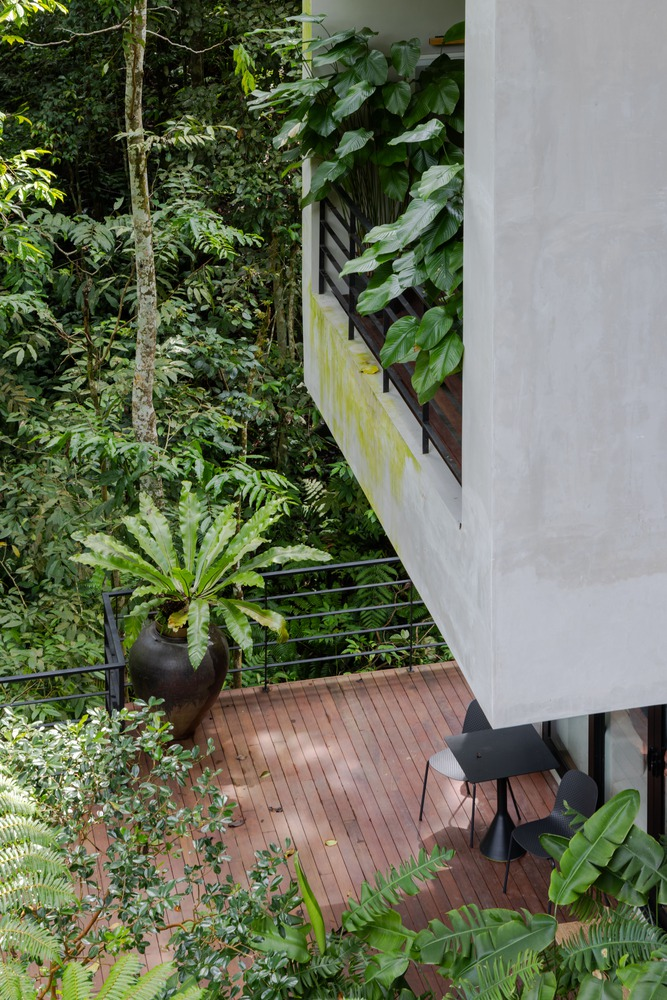 The Rainforest Residence: A Monolithic Rainforest House Design by Choo ...