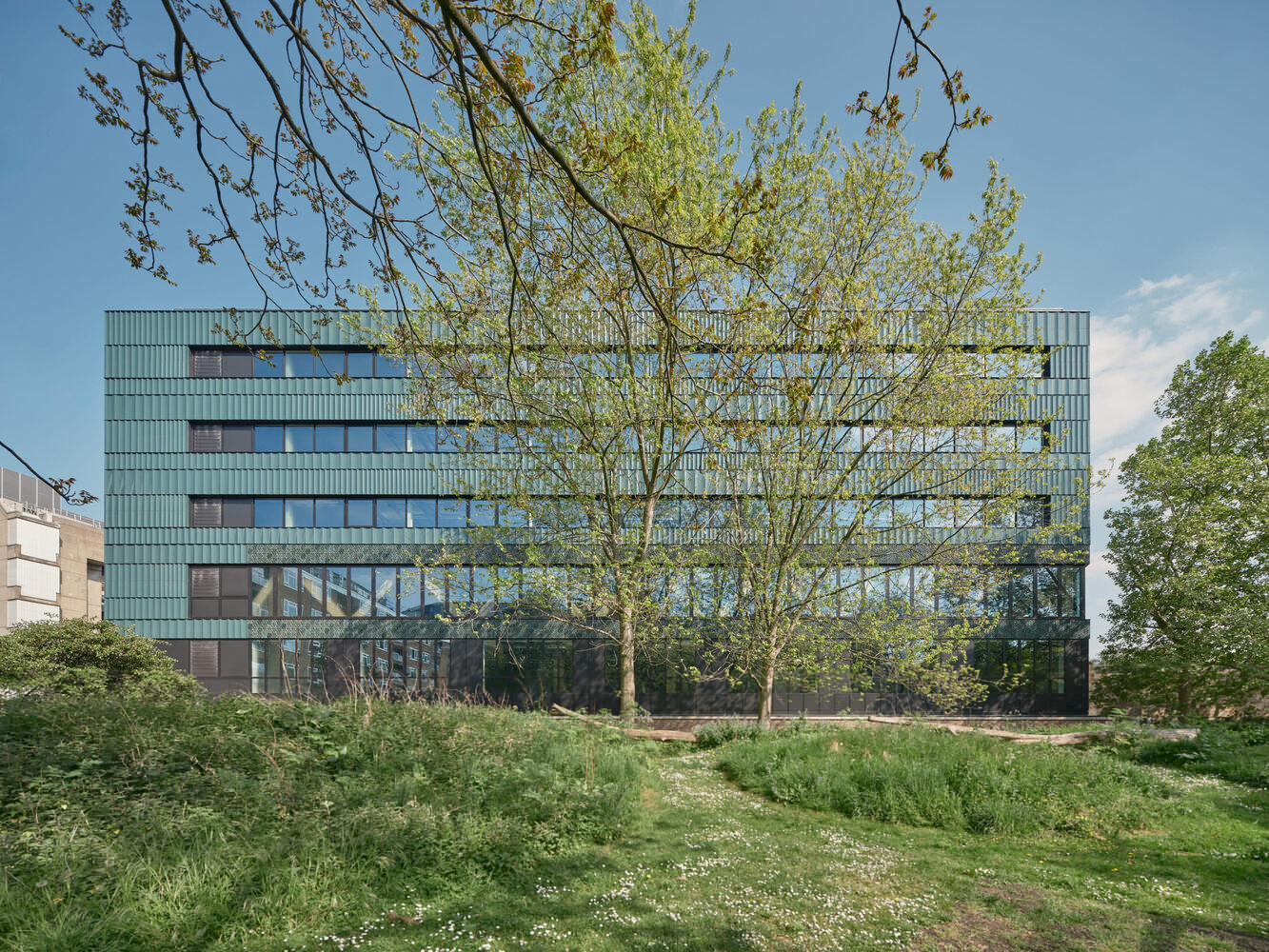 Paradise SE11 Mass Timber Office: A Regenerative, Low-Carbon Workplace ...