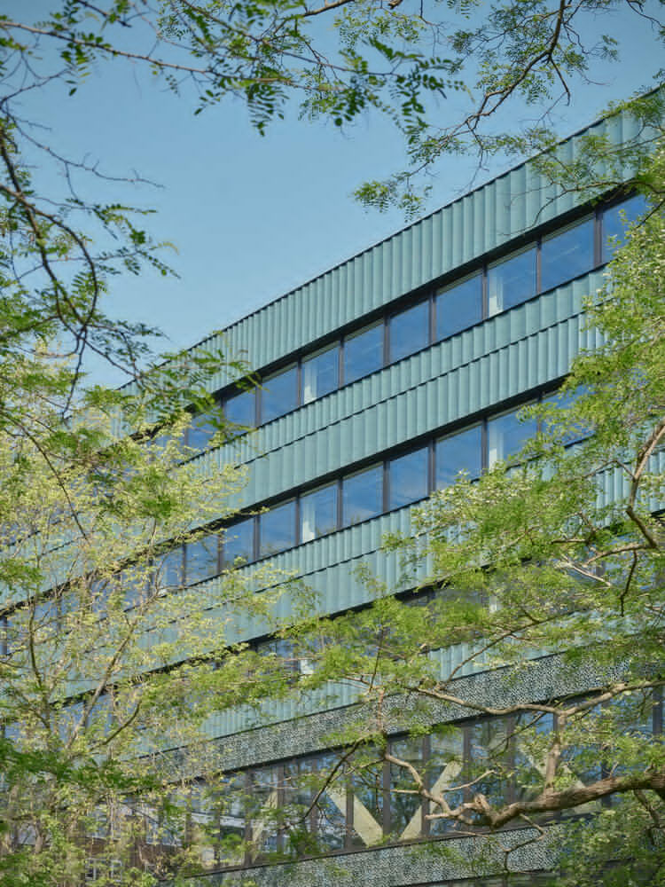 Paradise SE11 Mass Timber Office: A Regenerative, Low-Carbon Workplace ...
